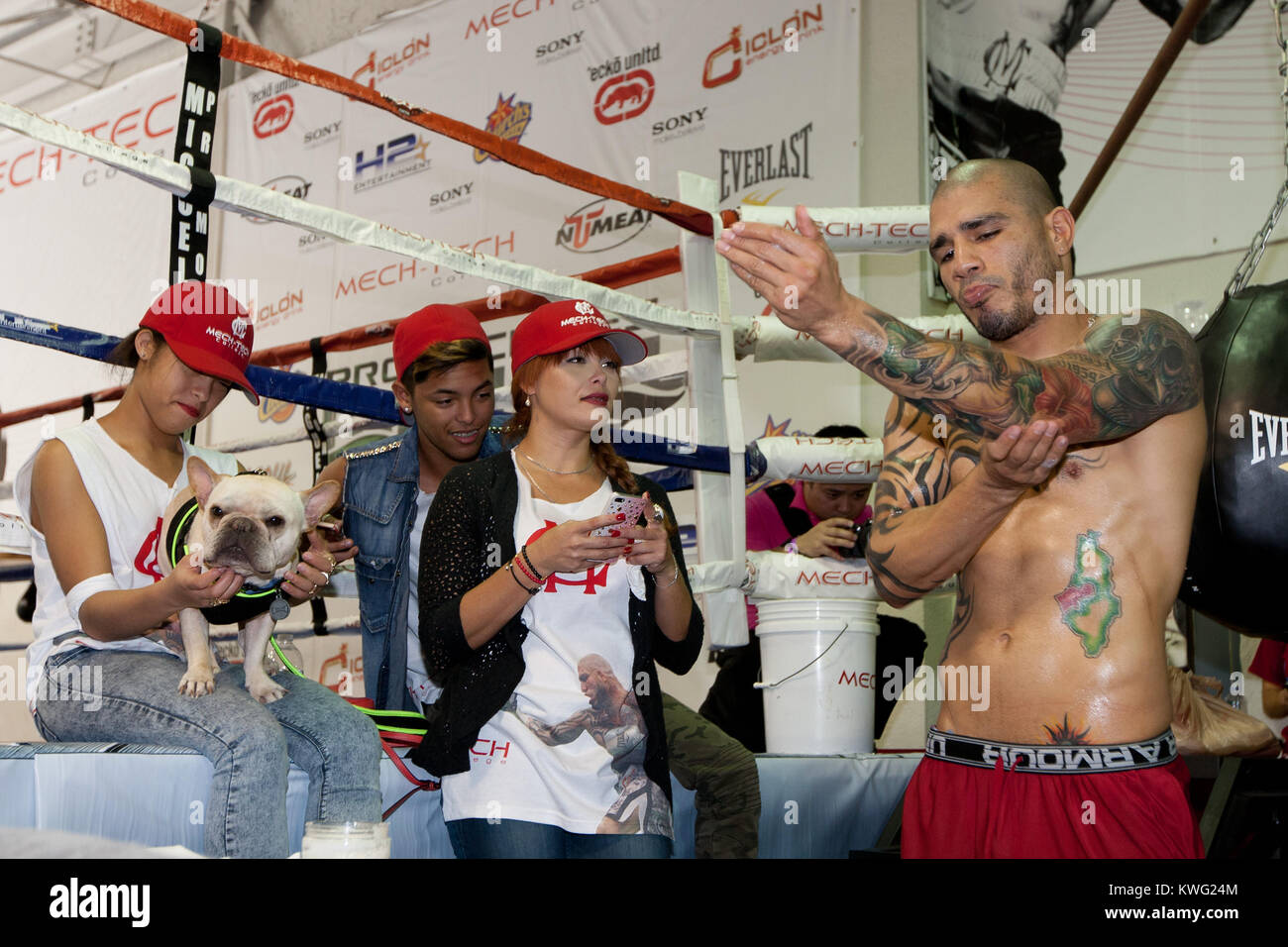 Puerto rican boxer hi-res stock photography and images - Alamy