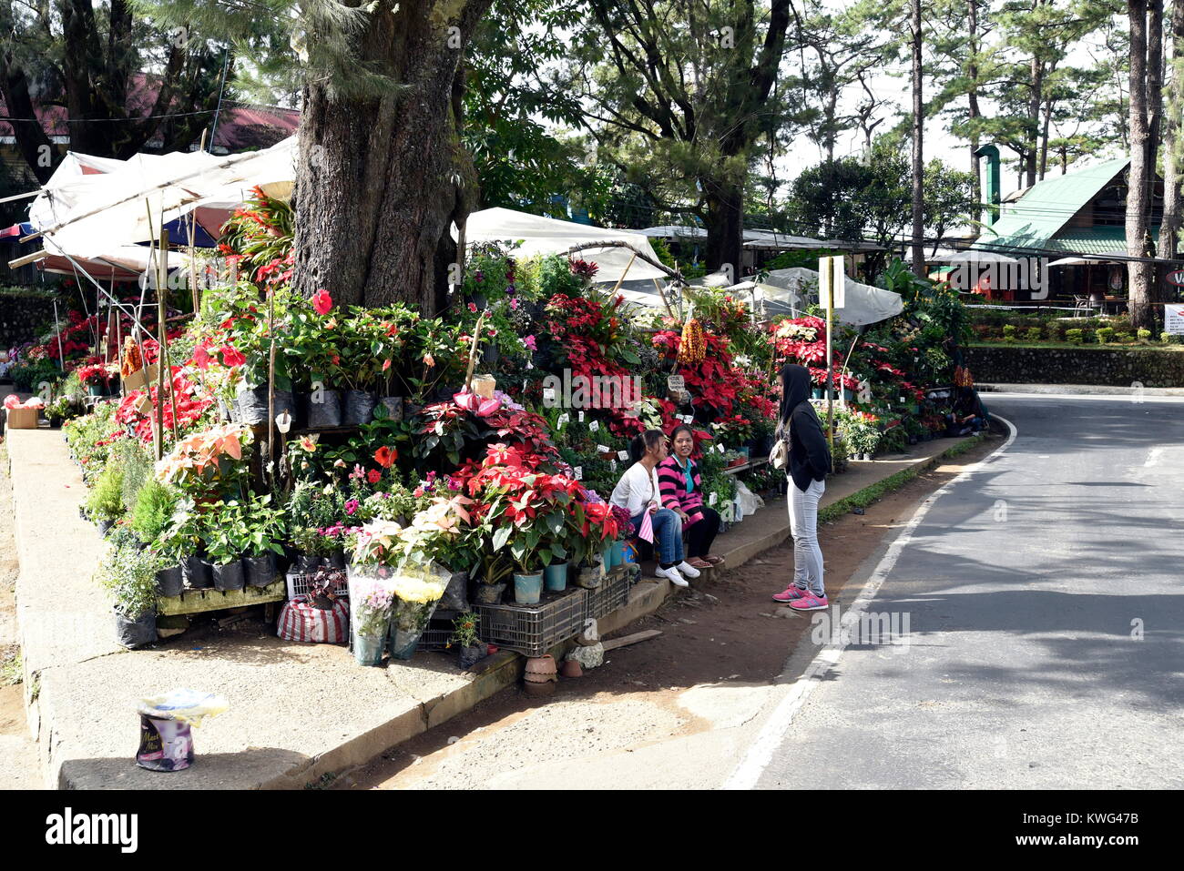 Baguio City Philippines December 14 2017 Baguio City Sightseeing