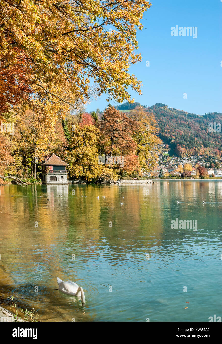 Aare lake hi-res stock photography and images - Alamy