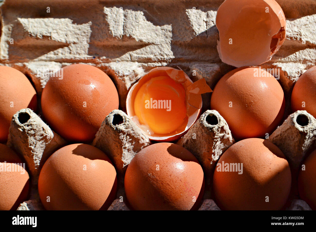 Egg box with Organic chicken Eggs Stock Photo - Alamy