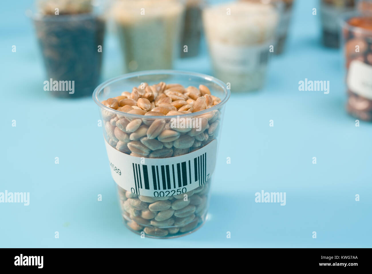 seeds of agricultural plants in test tube with barcodes in the ...