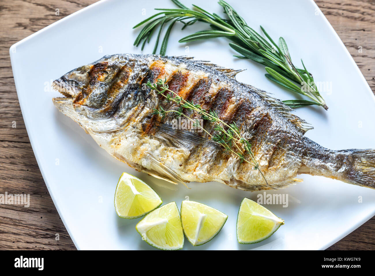 Dorade Royale Fish Stock Photo - Alamy