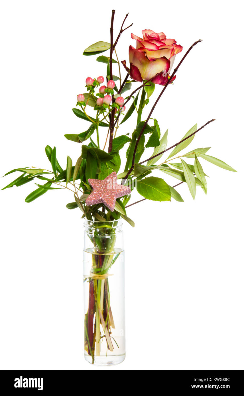 Isolated rose hi-res stock photography and images - Alamy