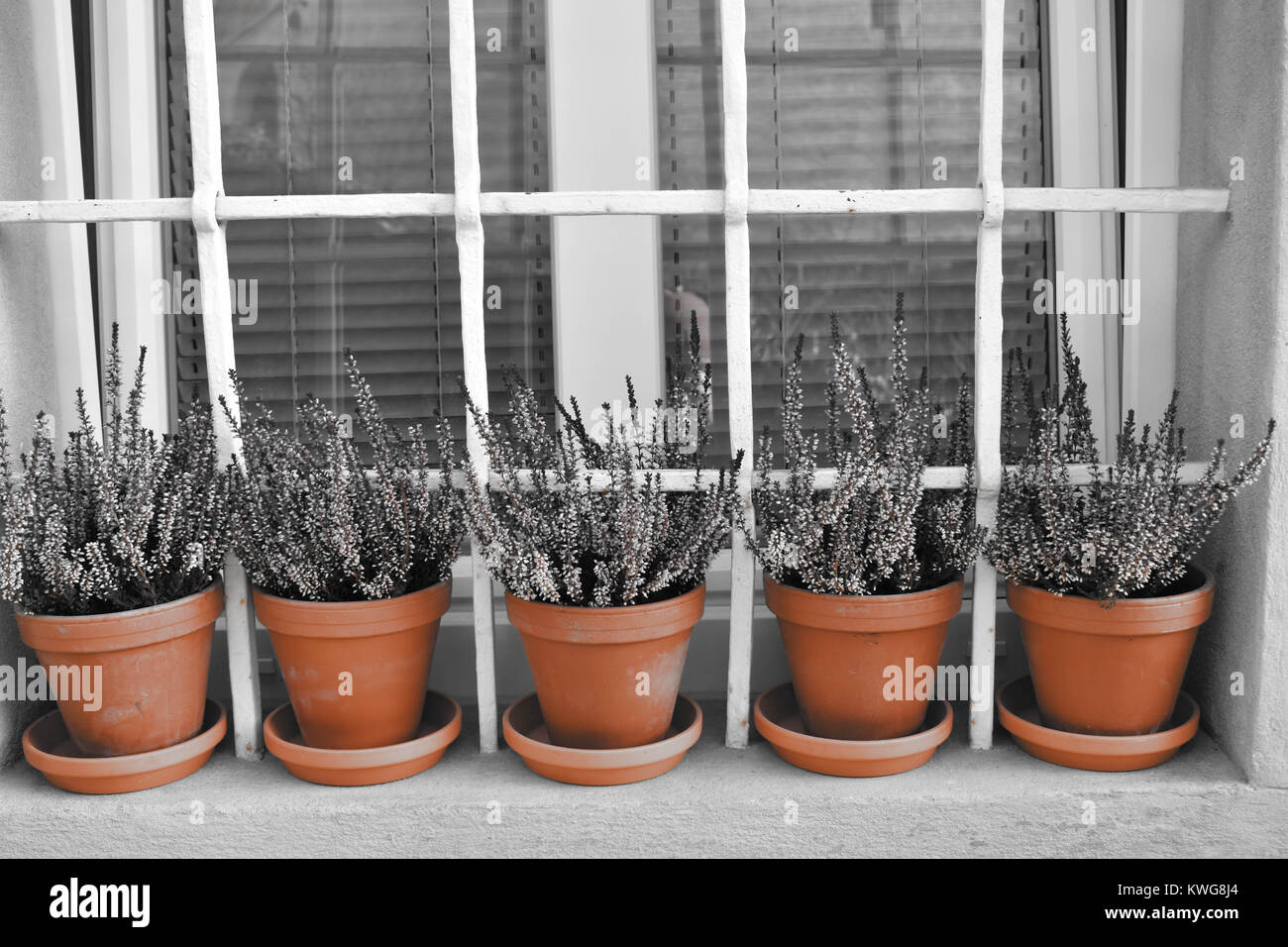 Row Of 5 Window Shutters High Resolution Stock Photography and Images ...