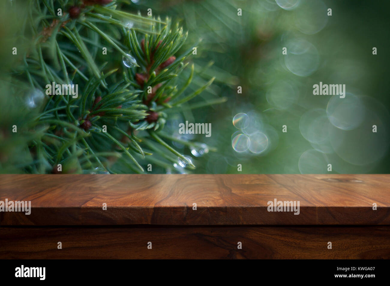 Empty top wooden table and spruce closeup Stock Photo - Alamy