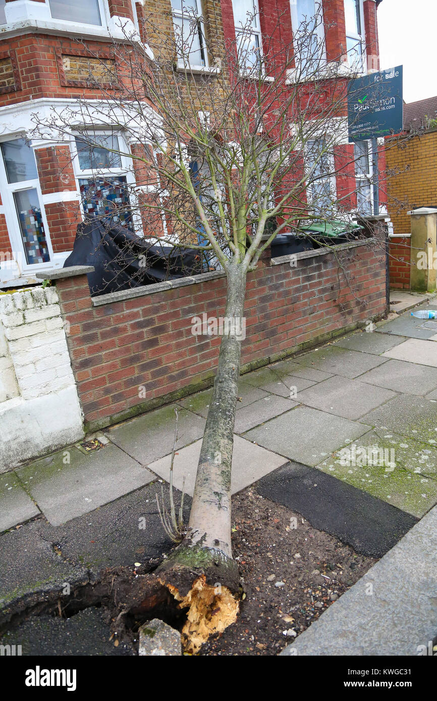 Tree hits house hi-res stock photography and images - Alamy