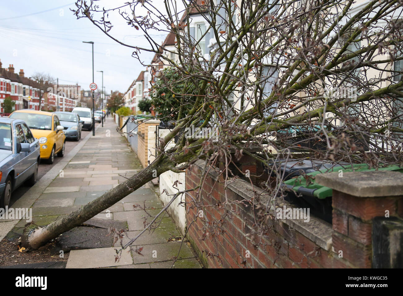 North London, UK. 3rd Jan, 2018. A fallen tree in the front garden of a ...