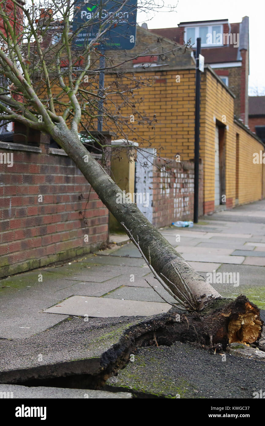 Tree hits house hi-res stock photography and images - Alamy