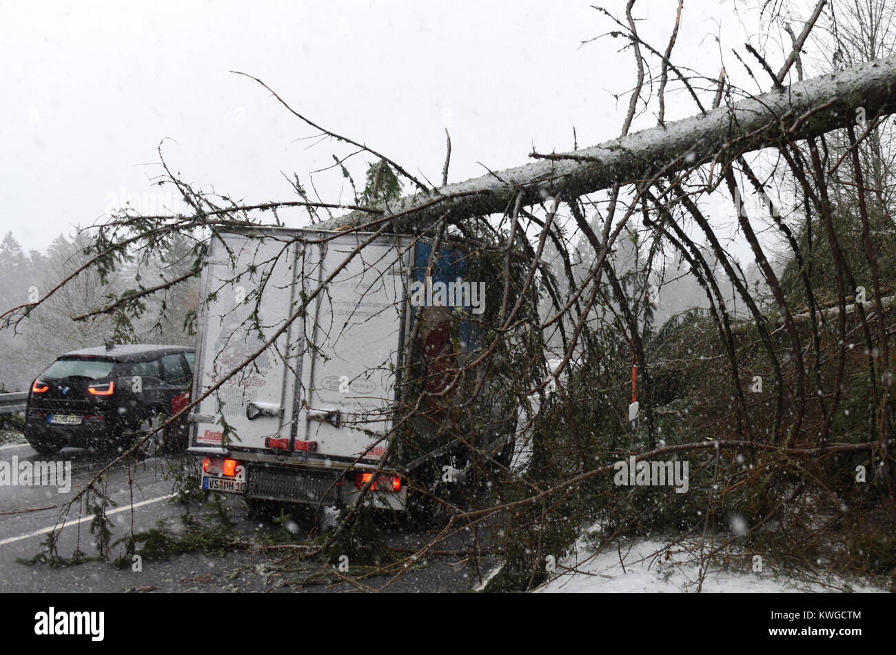 Feldberg, Germany. 03rd Jan, 2018. A tree lies on a truck on the main ...