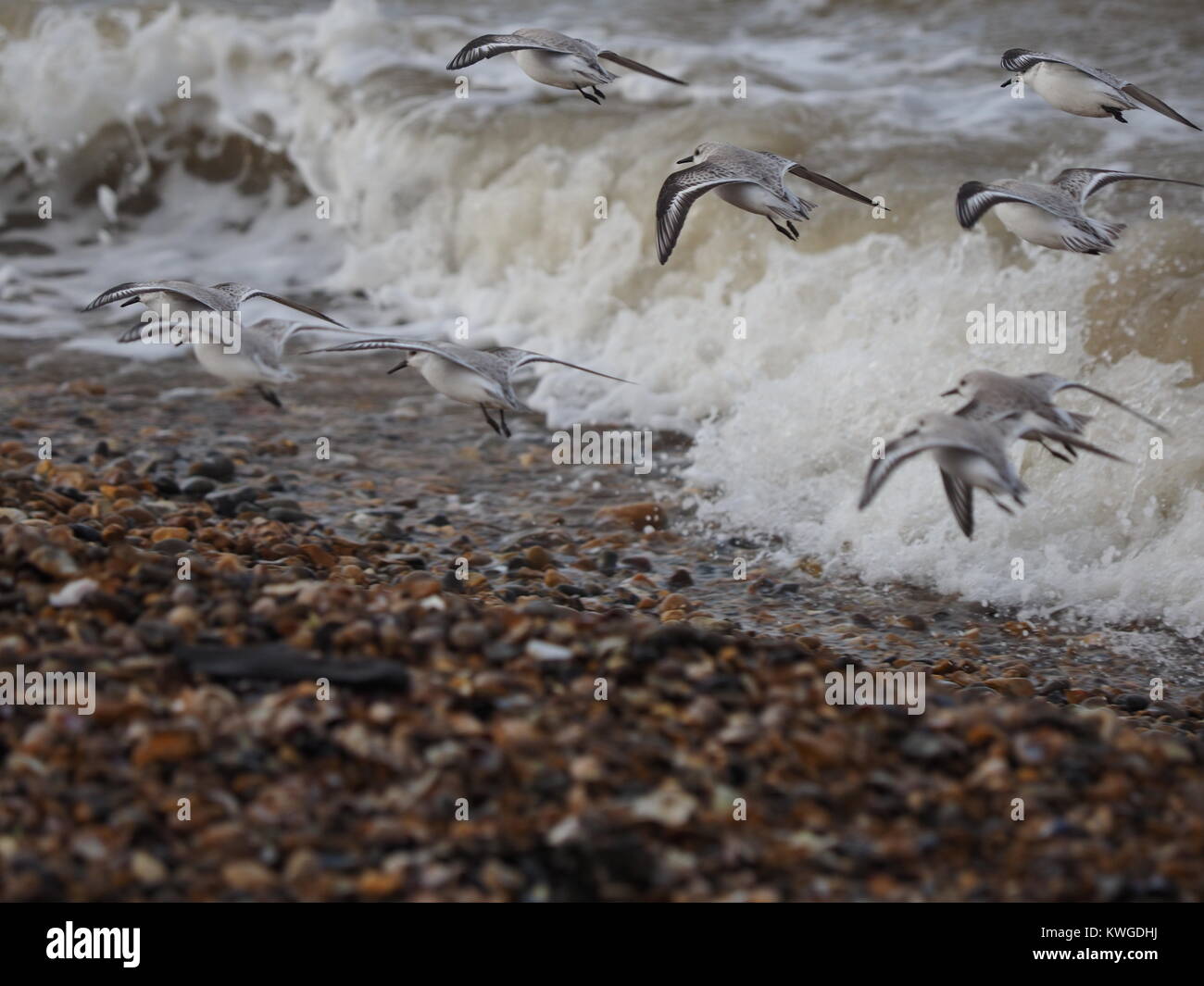 Sheerness, Kent, UK. 3rd Jan, 2018. UK Weather: Storm Eleanor batters ...