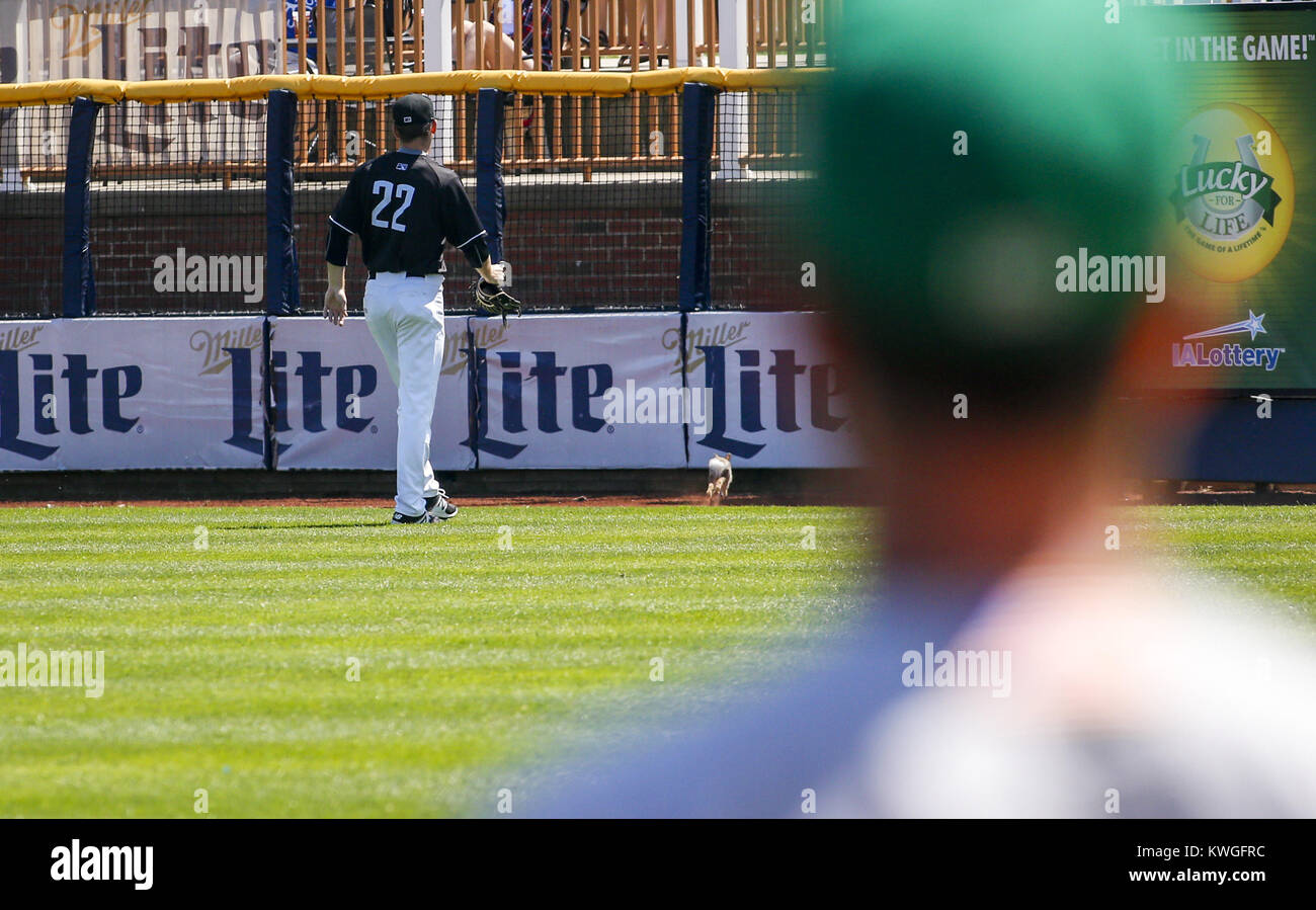 Davenport, Iowa, USA. 23rd Apr, 2017. River Bandits right fielder ...