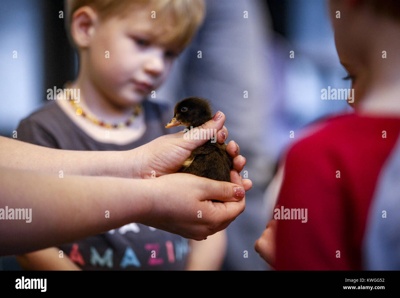 Moline, Iowa, USA. 13th Apr, 2017. Assistant Manager Danielle Graff ...