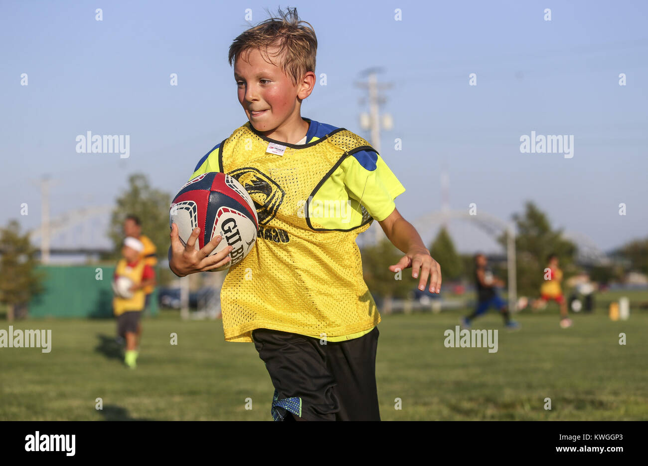 Sharks lions rugby hi-res stock photography and images - Alamy