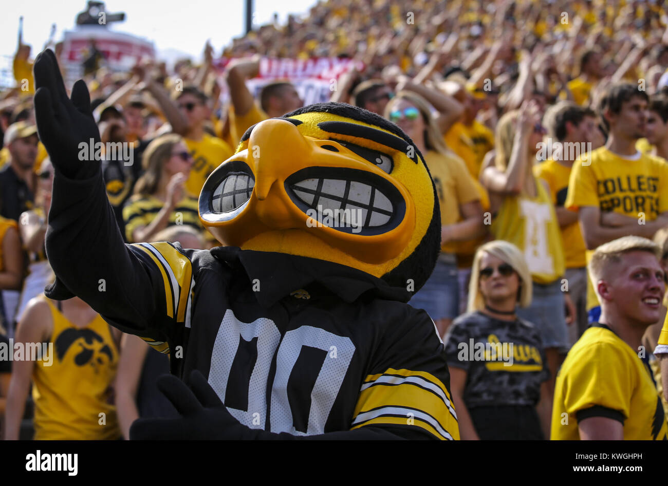 Iowa City, Iowa, USA. 16th Sep, 2017. Iowa Hawkeyes mascot Herky ...