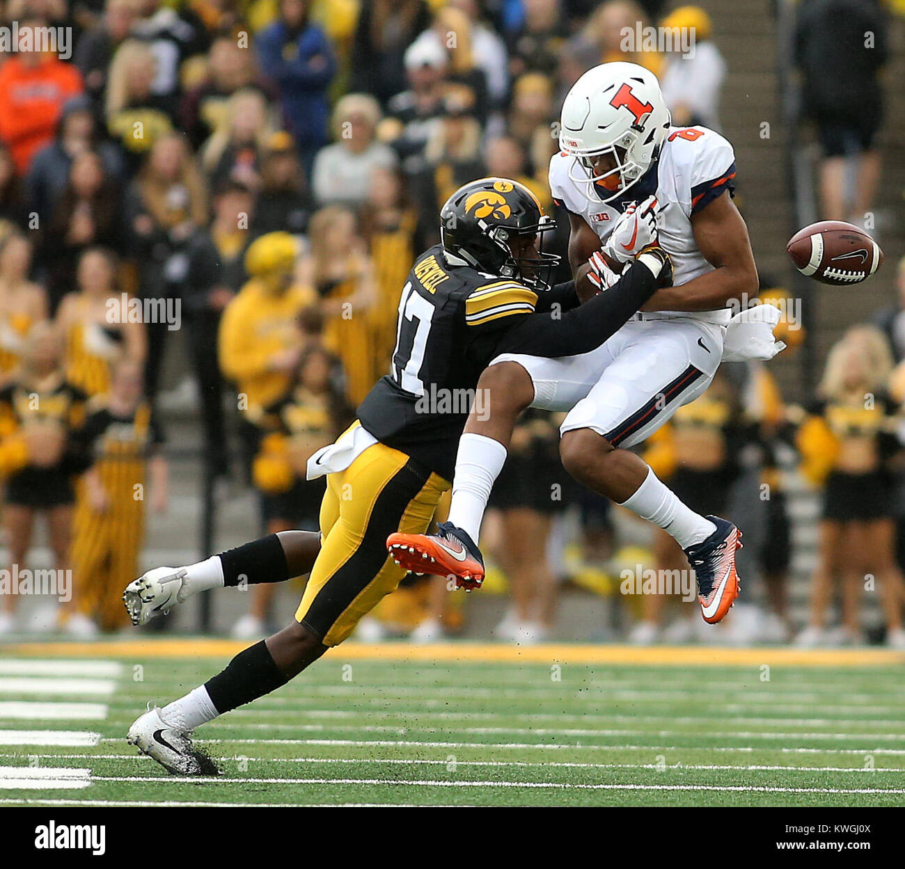 The quad cedric hi-res stock photography and images - Alamy