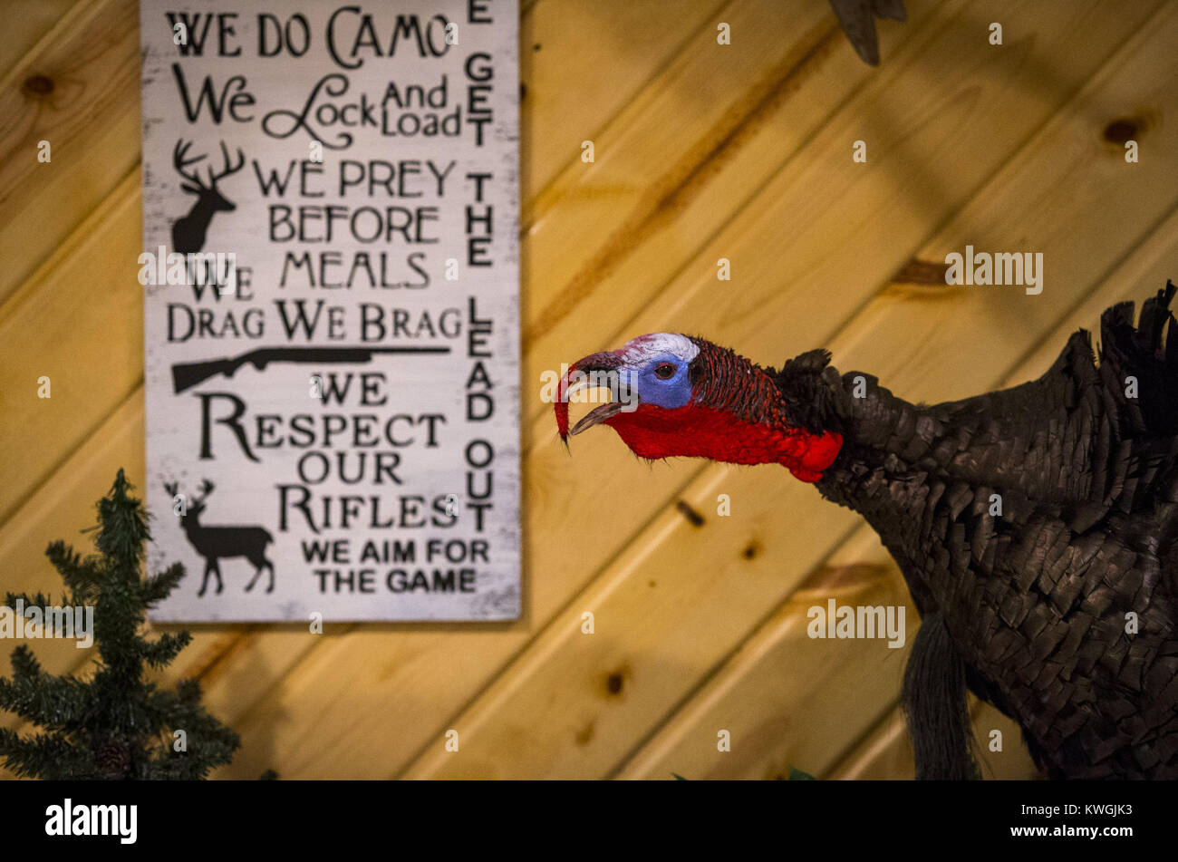 East Moline, Iowa, USA. 10th Nov, 2017. A mounted wild turkey is seen ...