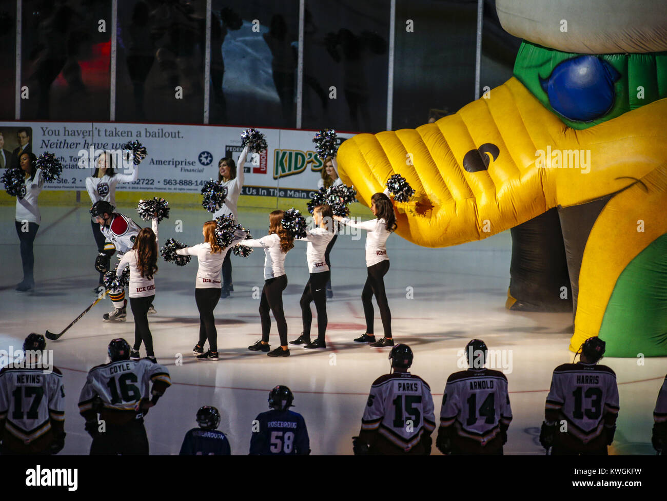Moline, Iowa, USA. 14th Oct, 2016. Mallards Ice Girls cheer players ...