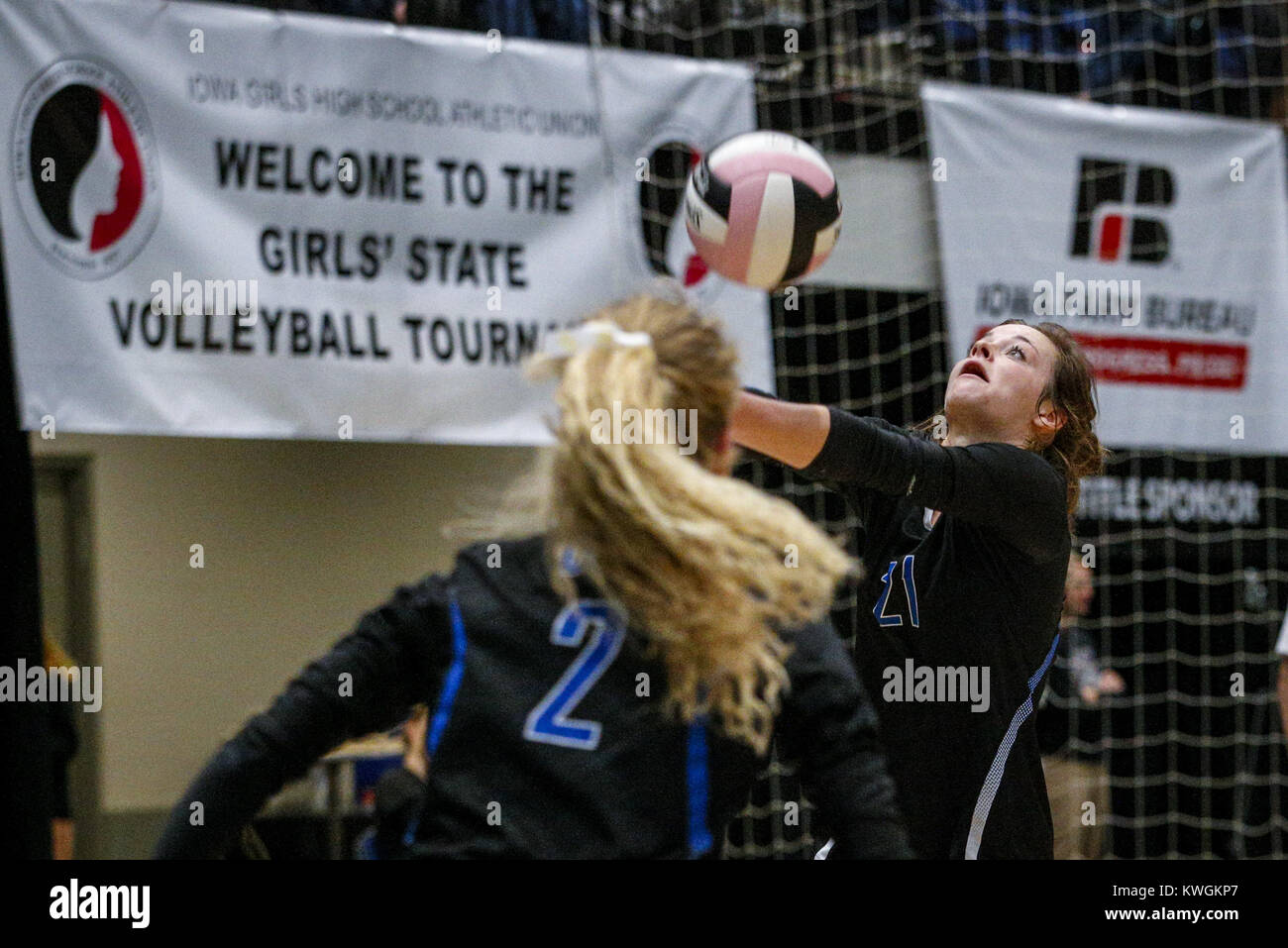 Baylee hi-res stock photography and images - Alamy