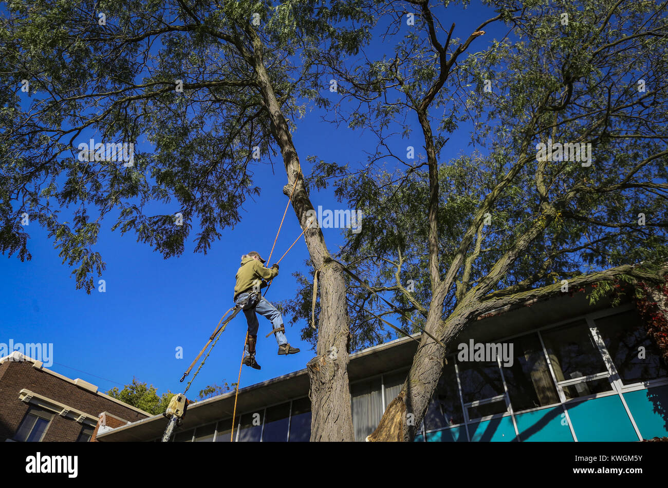 Iowa City, Iowa, USA. 7th Oct, 2016. Climber Harold ''Lucky'' McDaniel ...