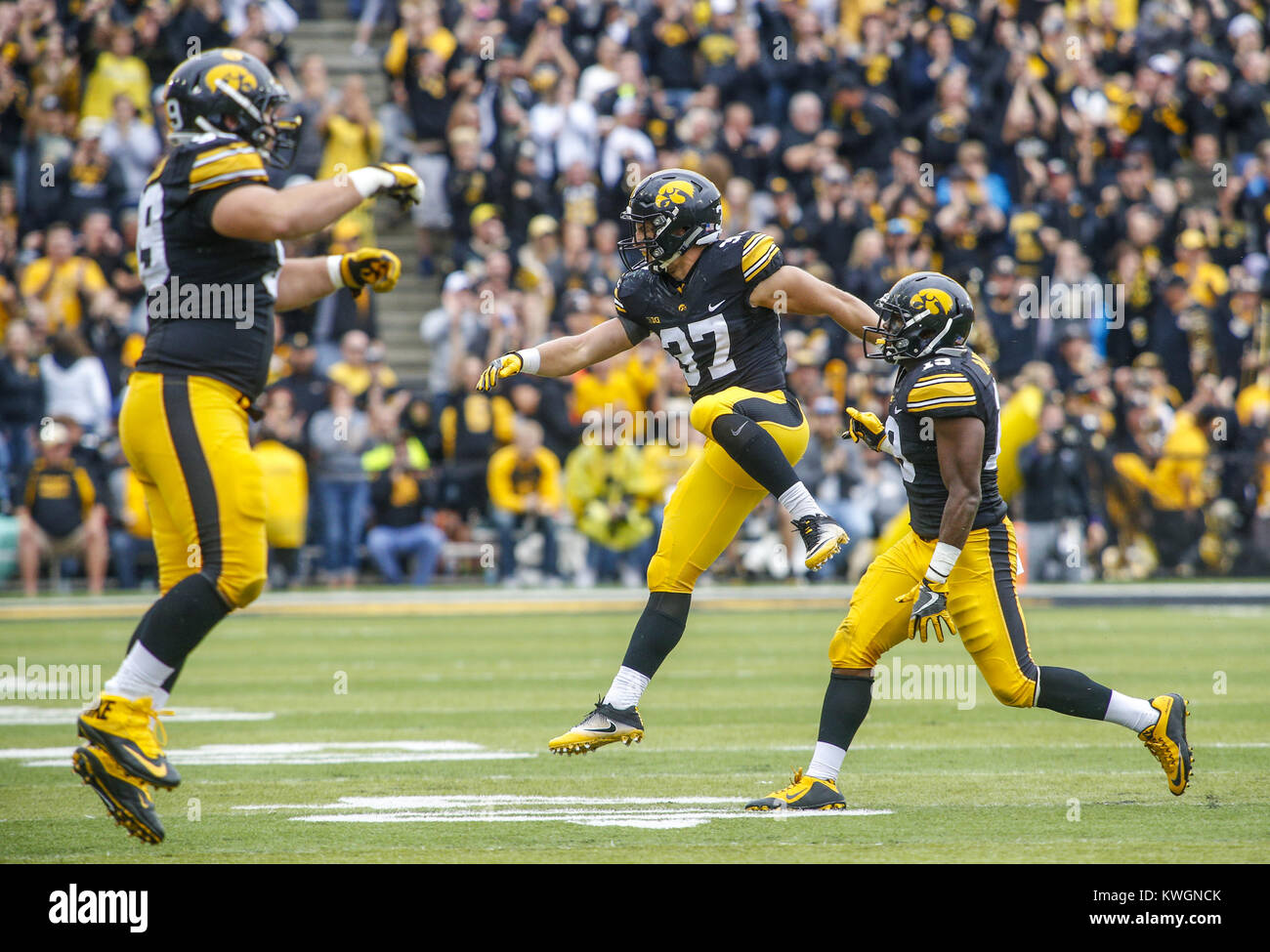 Iowa City, Iowa, USA. 1st Oct, 2016. Iowa free safety Brandon Snyder ...