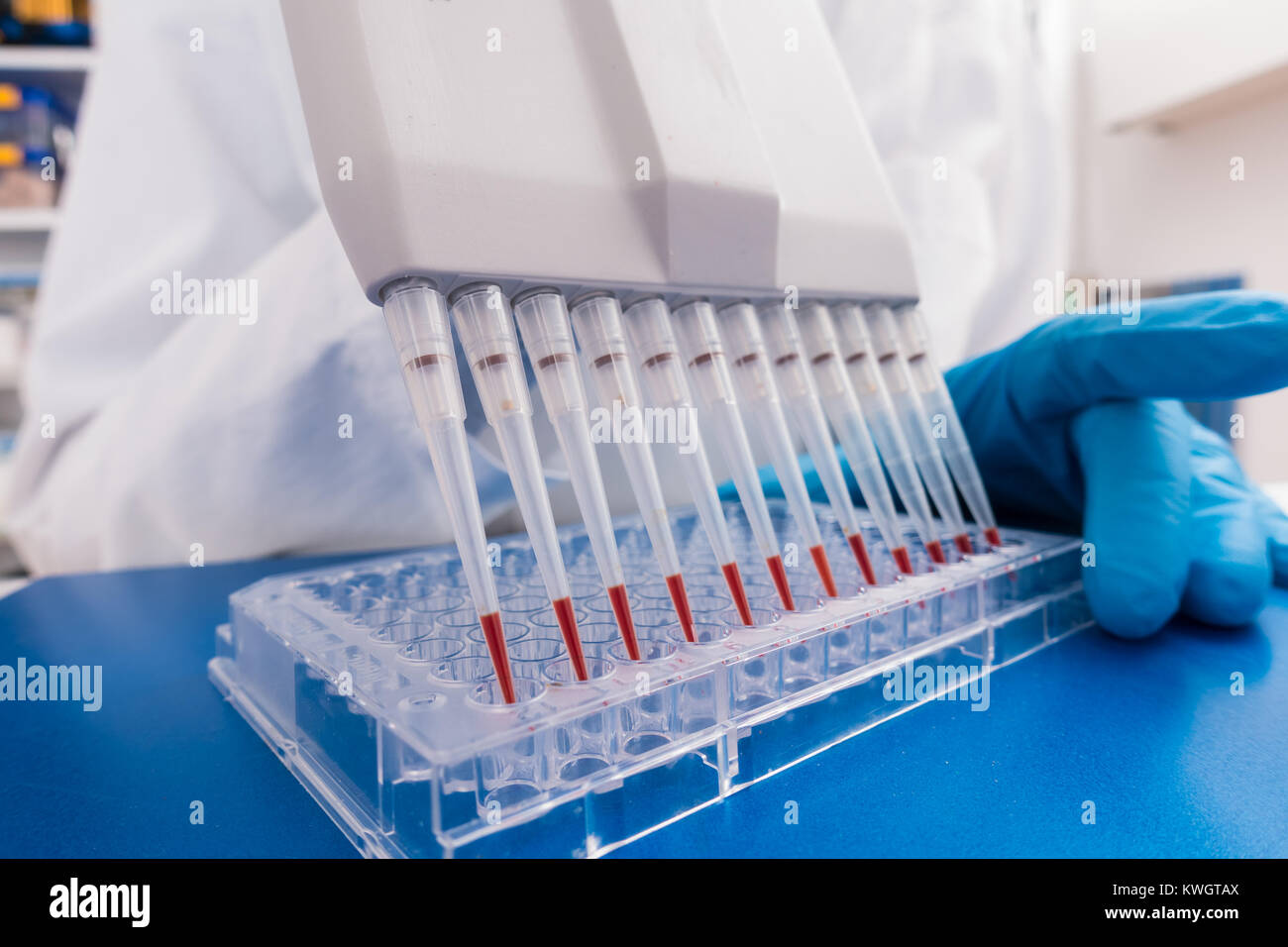 technician woman works with in genetic lab with biological materials ...