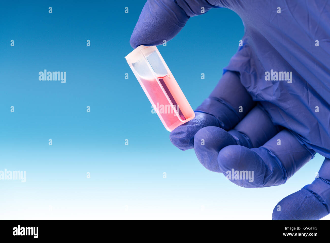 Laboratory cuvettes hi-res stock photography and images - Alamy