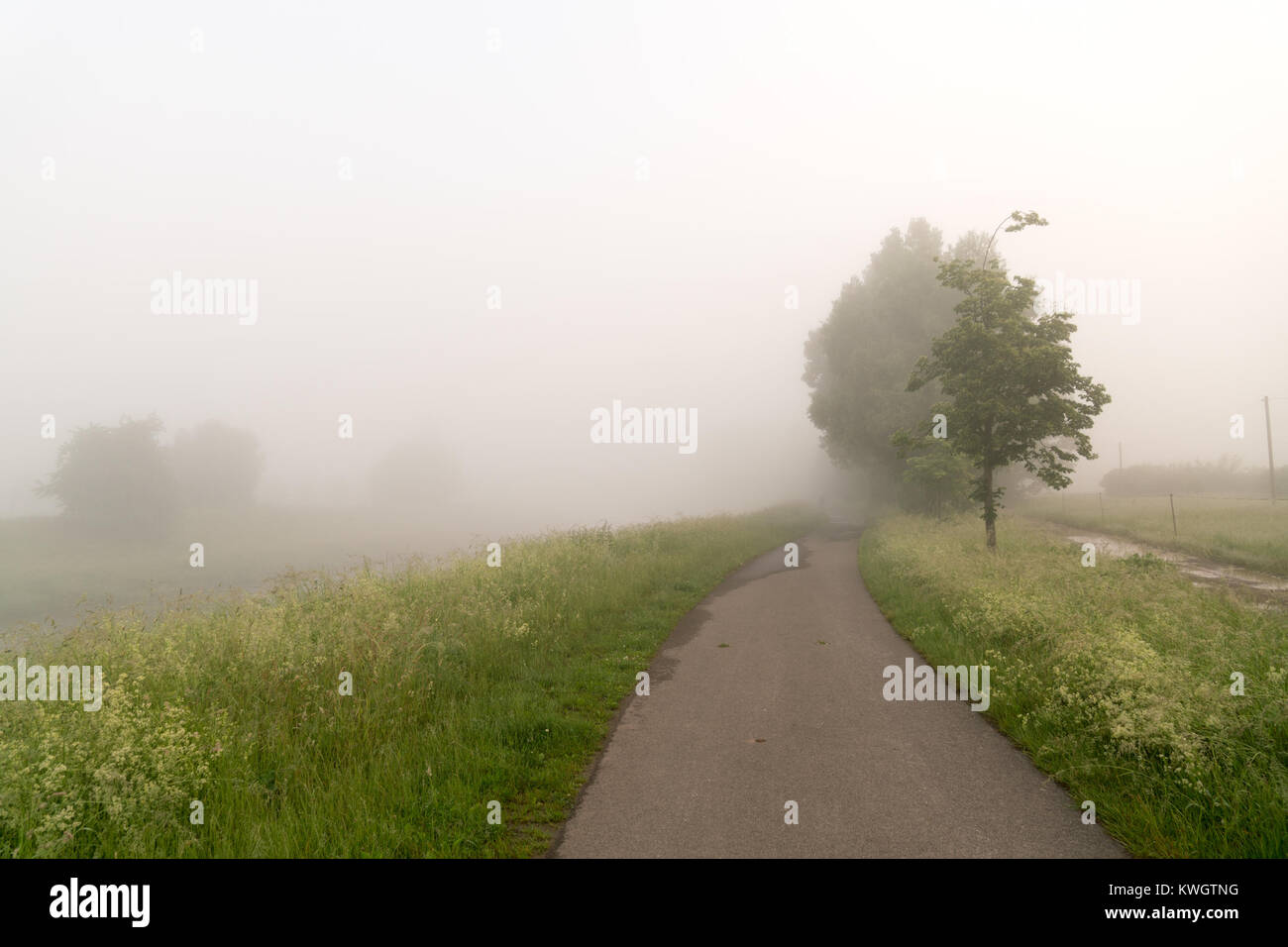 The bike path in the fog Stock Photo - Alamy