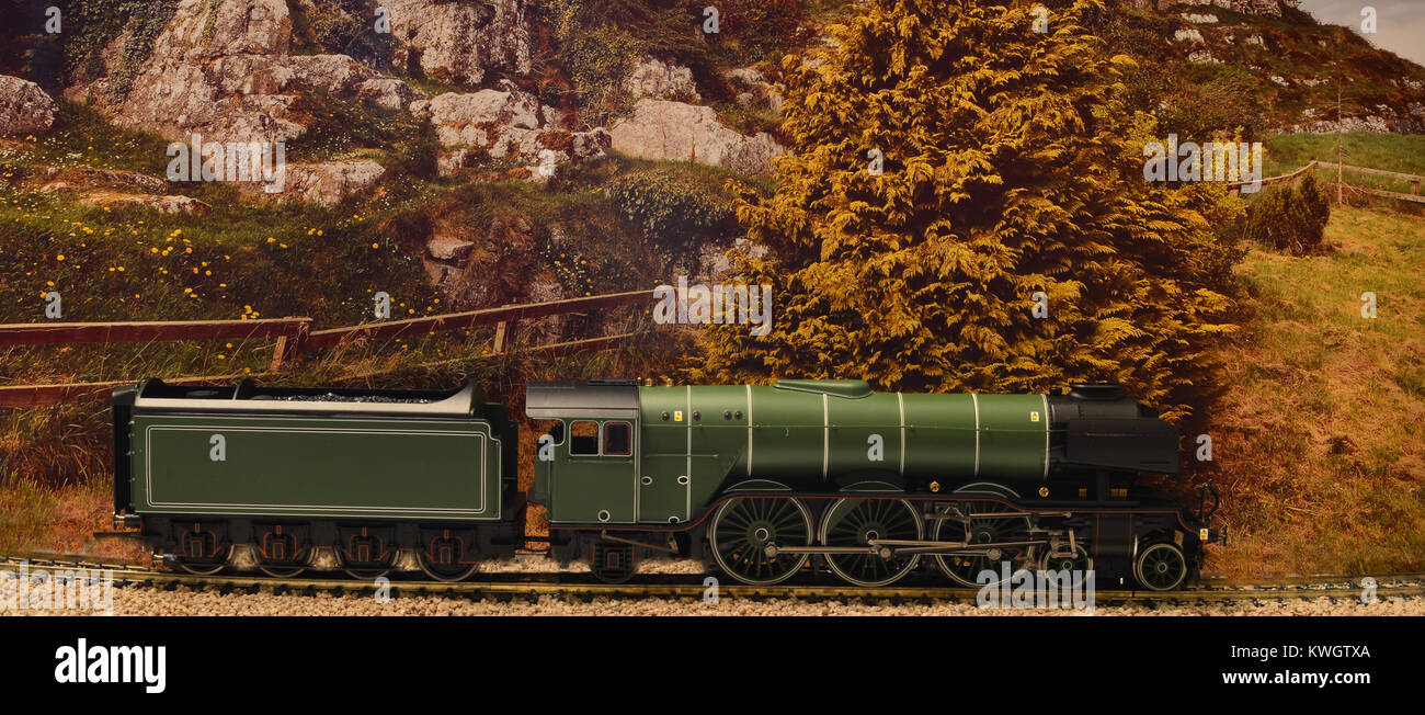 A model of an A3 locomotive on a scenic background Stock Photo - Alamy