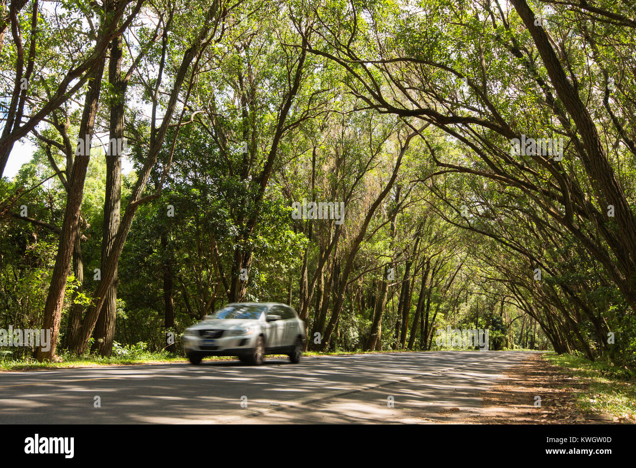 Car highway brazil hi-res stock photography and images - Alamy