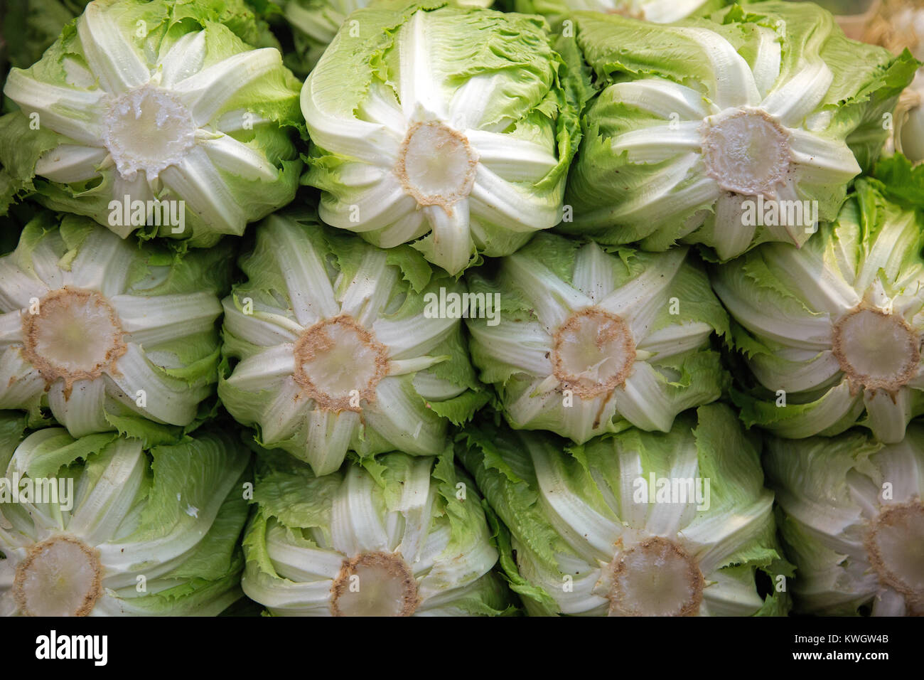 displayed vegetable endive Stock Photo - Alamy