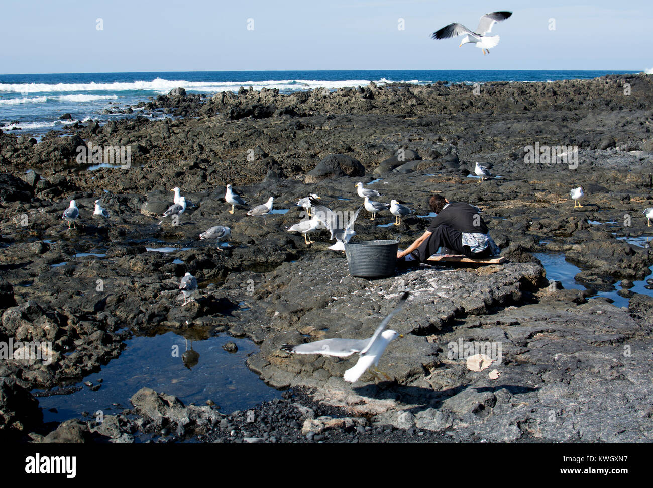 Lanzarote fish canary islands hi-res stock photography and images - Alamy