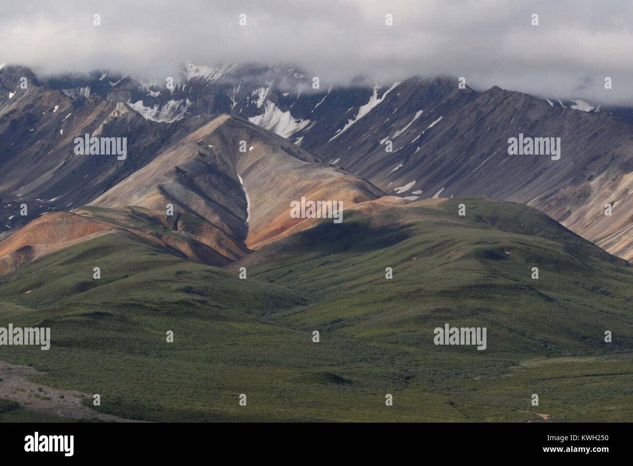 Denali National Park Stock Photo - Alamy