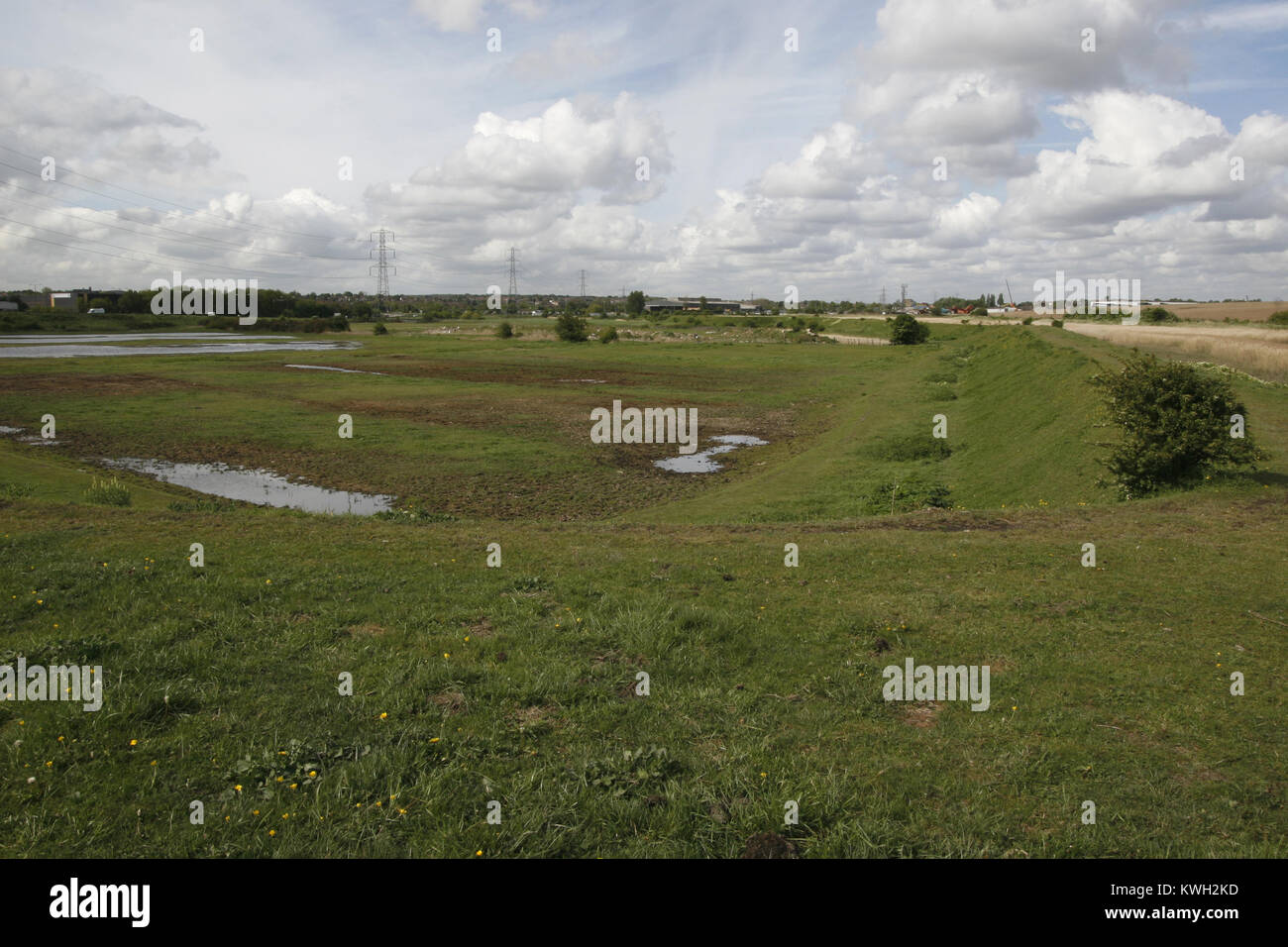 River thames marsh hi-res stock photography and images - Alamy