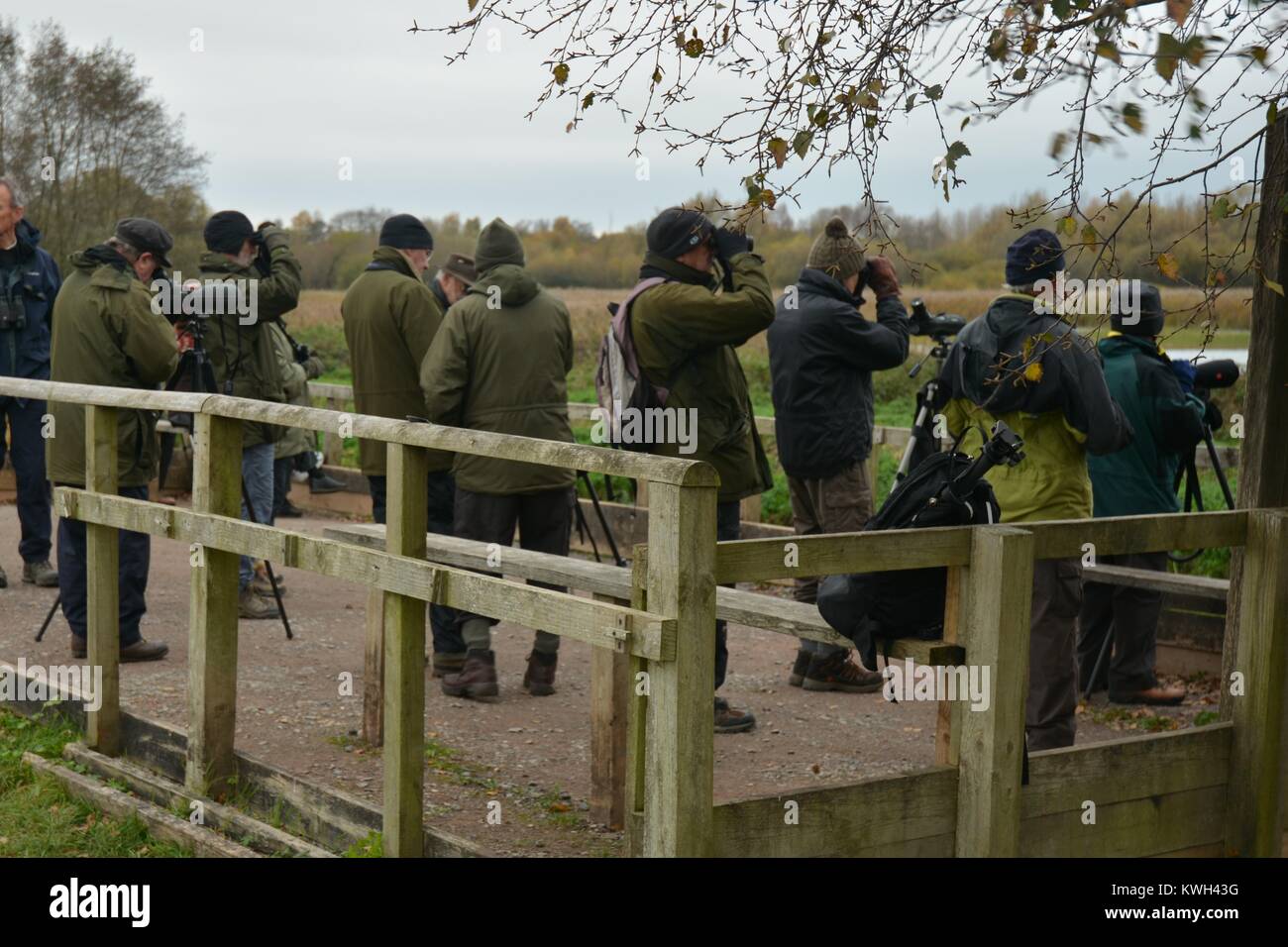 Crowd twitchers birdwatchers watching rare bird hi-res stock ...