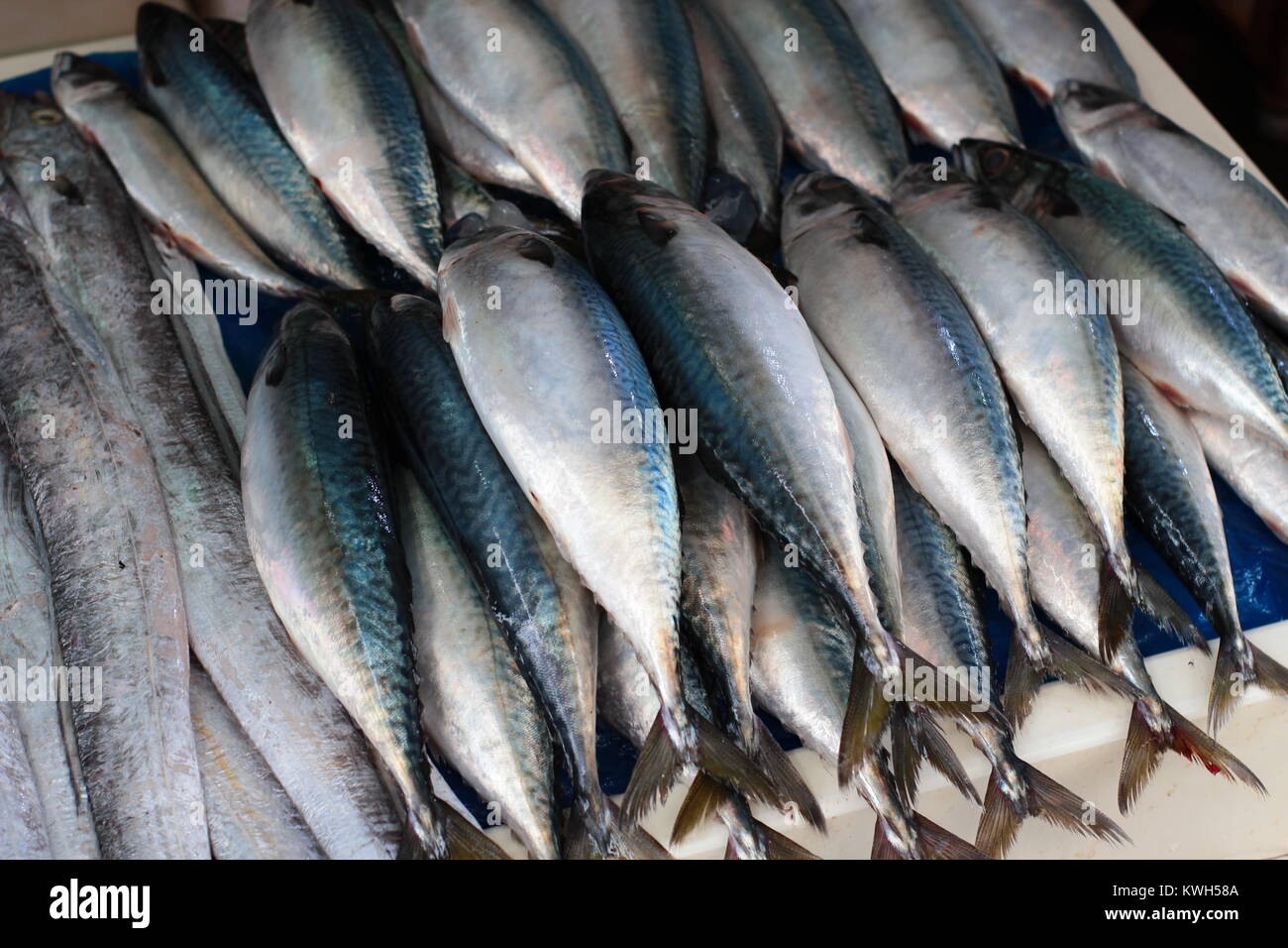 Retail fish market hi-res stock photography and images - Alamy