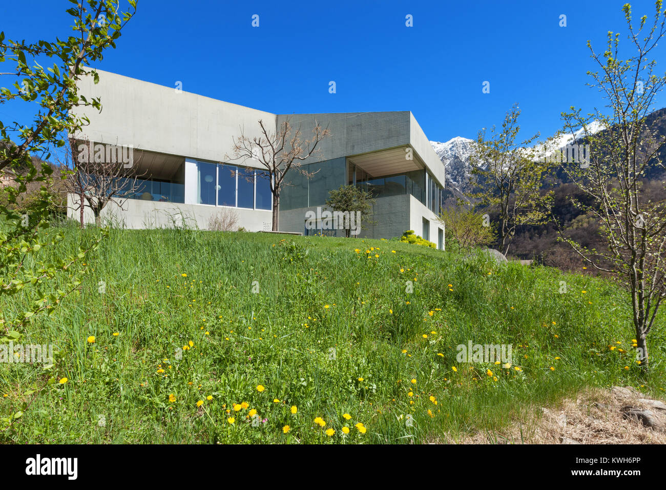 Architecture modern design, concrete house view from the meadow Stock ...