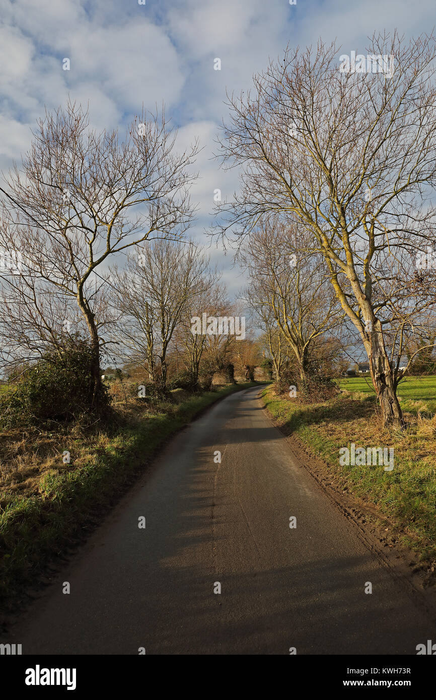 quiet country lane Hempstead, Lessingham, Norfolk December Stock Photo ...