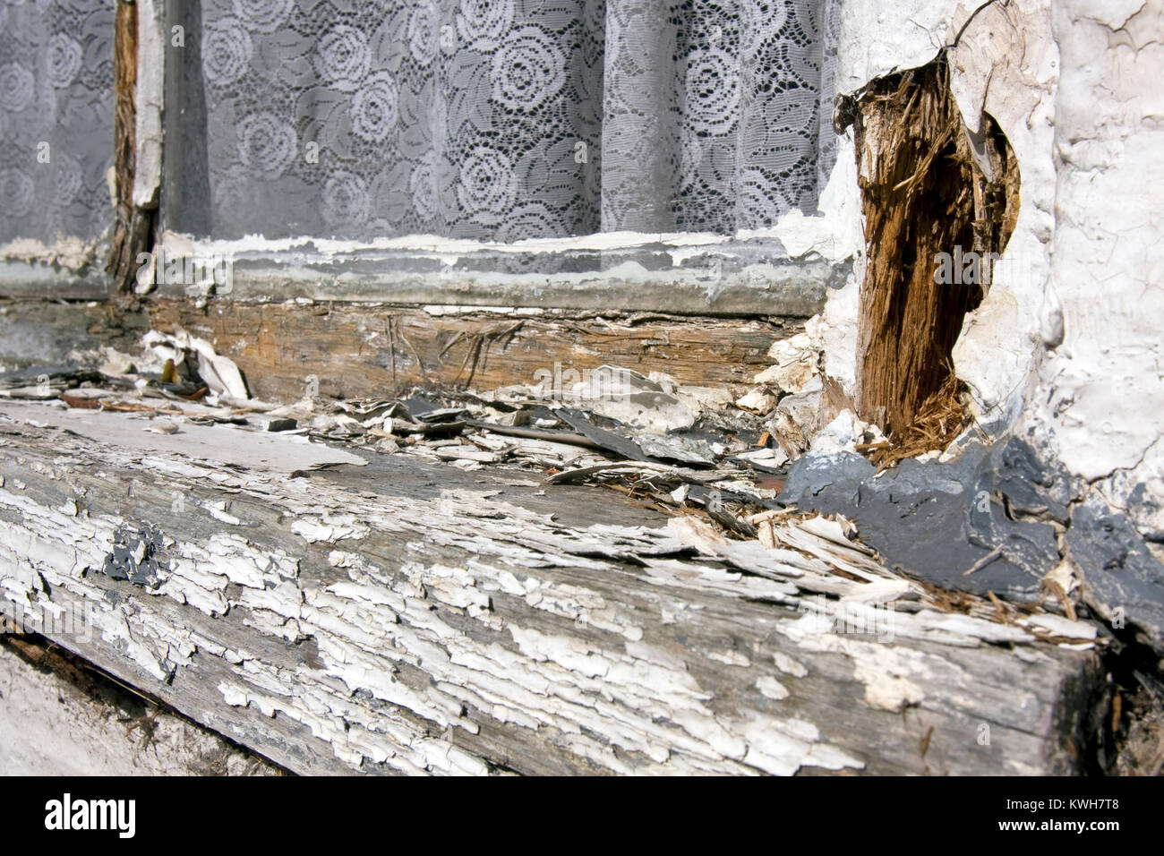 White paint peeling of an old, badly maintained, rotten, wooden windows ...
