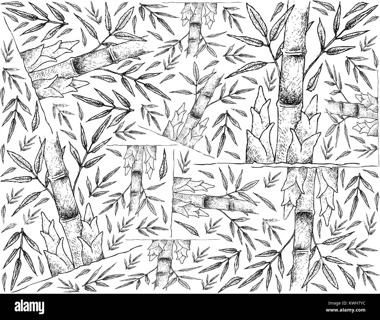 Root and Tuberous Vegetables, An Illustration of Delicious Fresh Bamboo ...