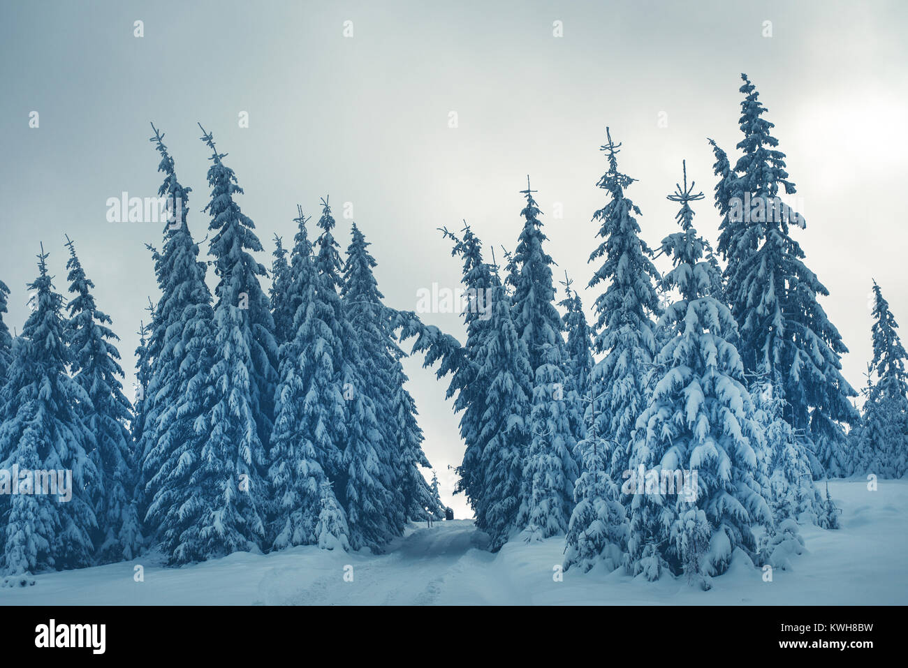 Fairy snow powder hi-res stock photography and images - Alamy