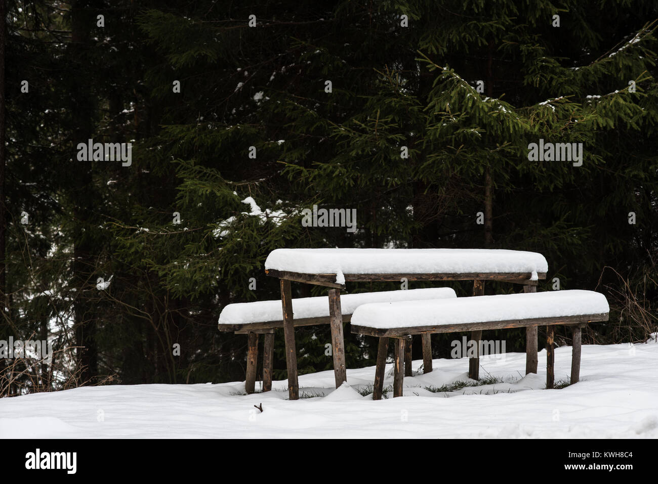Vacant snow covered wooden table and benches in winter snow in a park ...