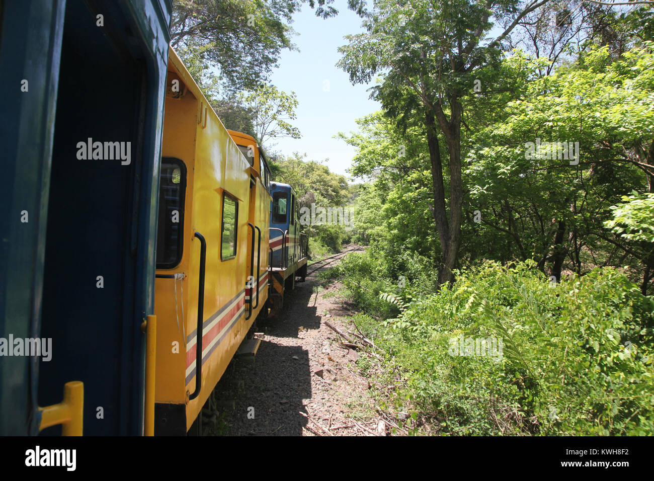 Train travelling through the jungle in Puerto Limon, Costa Rica ...