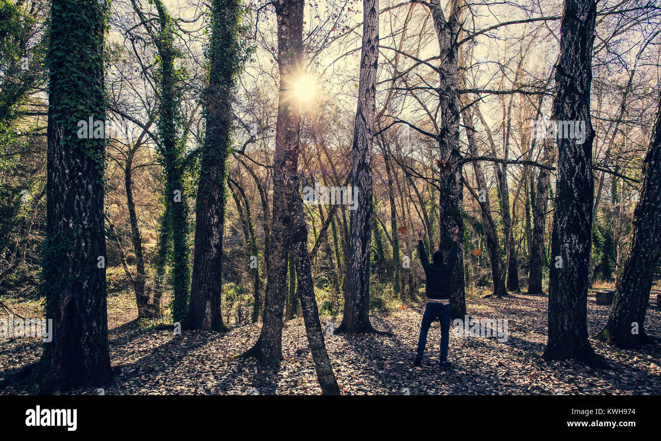 Boy playing with leaves in the forest Stock Photo - Alamy