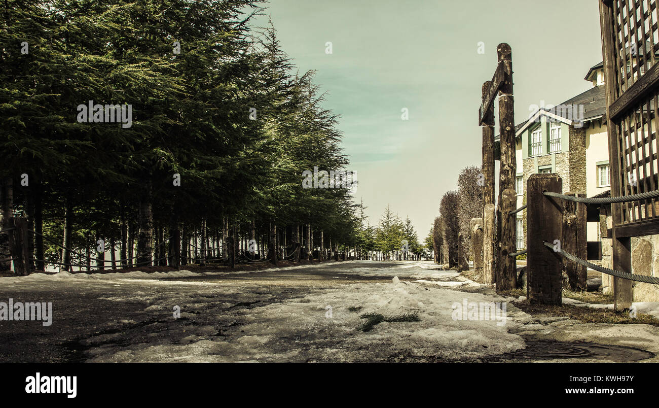 Frozen street hi-res stock photography and images - Alamy