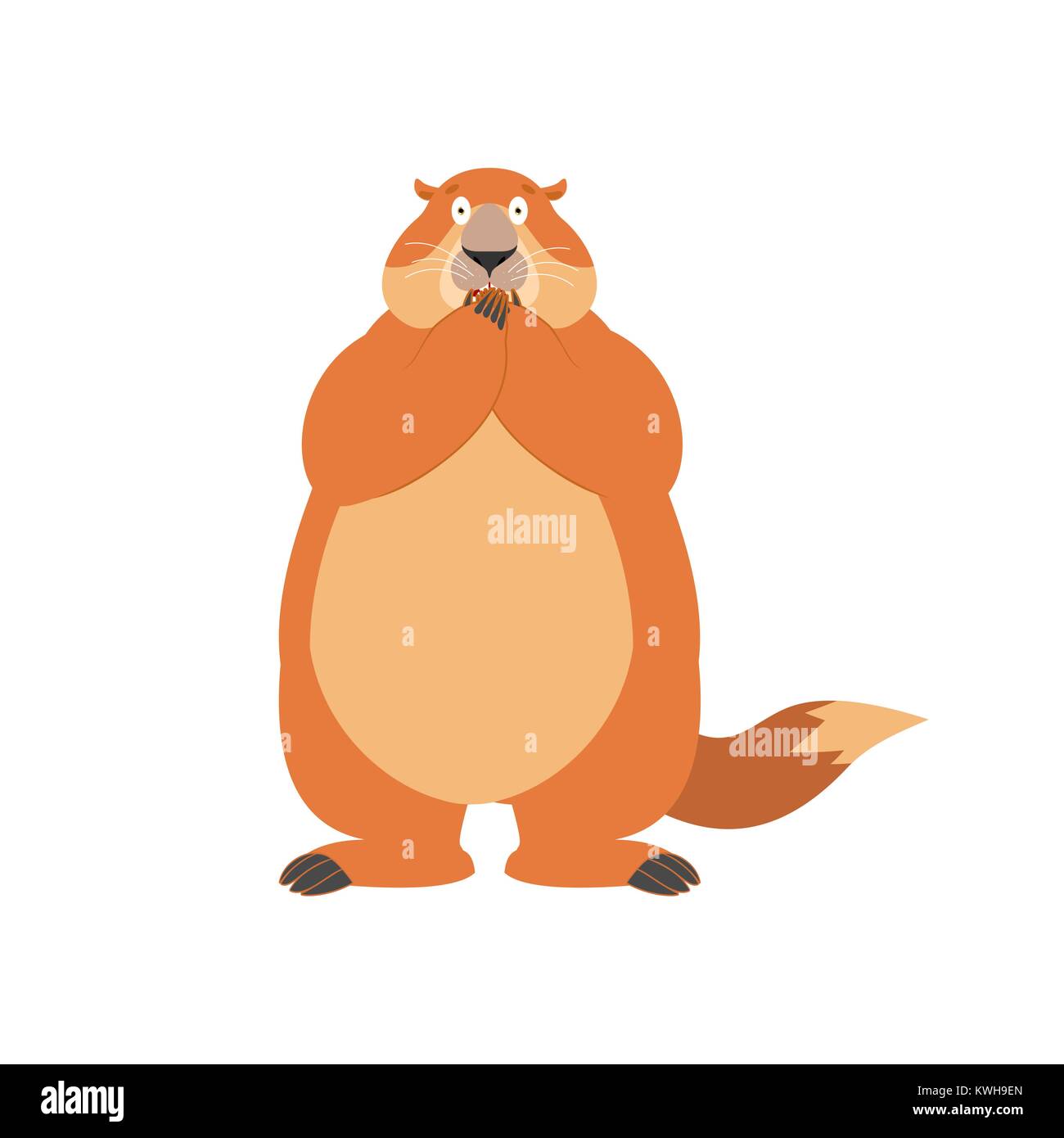 Groundhog face Stock Vector Images - Alamy