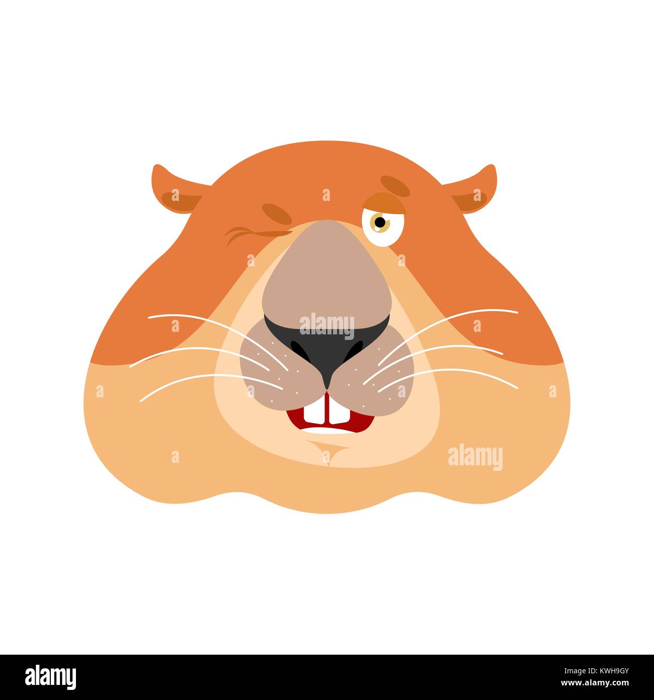 Groundhog wink emoji. Woodchuck merry emotions. Marmot Joyful ...