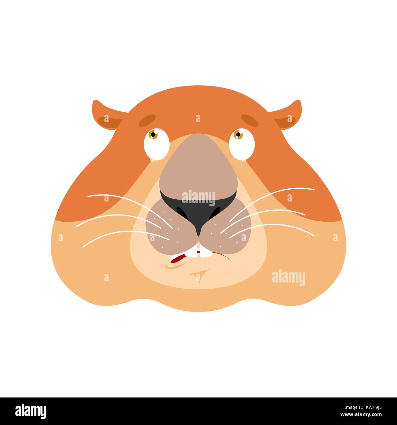 Groundhog confused emoji oops. Woodchuck perplexed emotions. Marmot ...