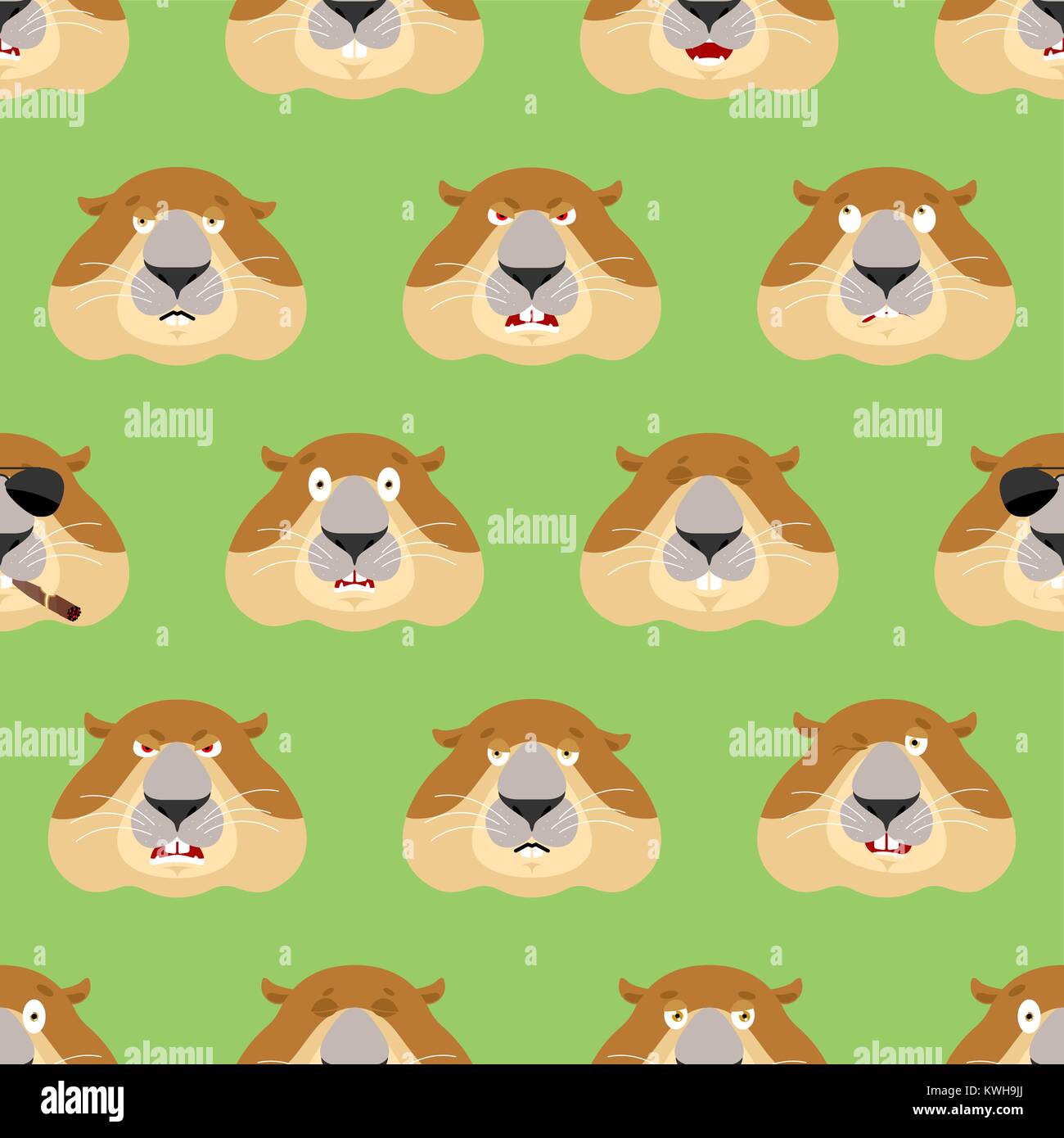 Groundhog head pattern. Woodchuck background. Ornament face Marmot ...