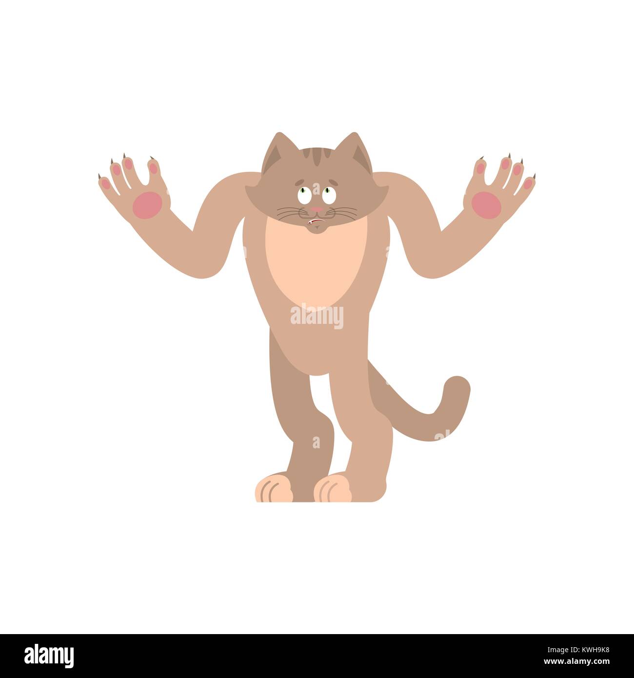 Cat confused oops. Pet perplexed emotions. kitty surprise. Vector ...