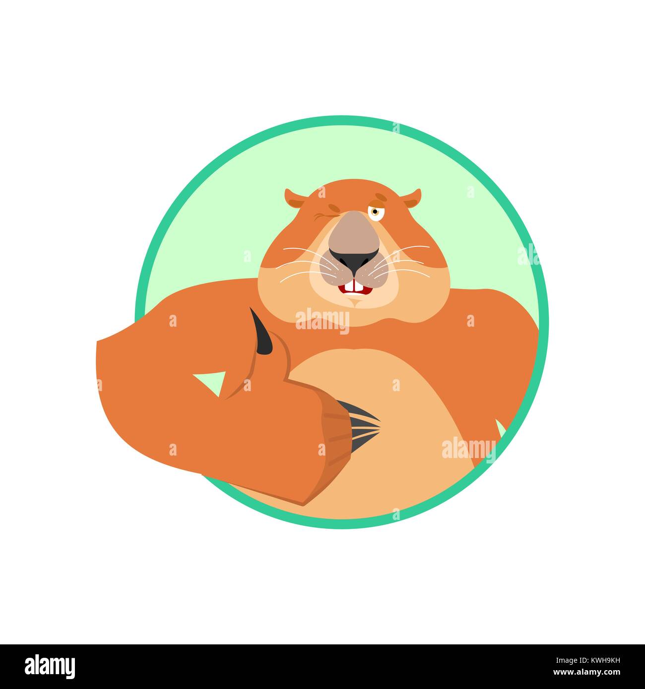 Groundhog thumbs up and winks. Woodchuck happy emoji. Groundhog day ...